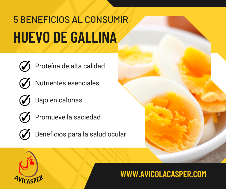 Formación del huevo